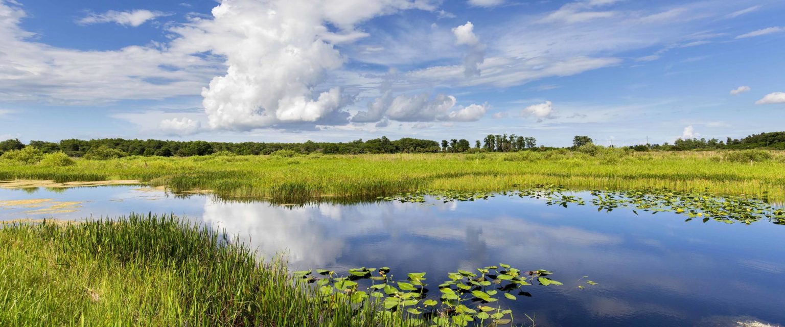 Arthur R. Marshall Loxahatchee National Wildlife Refuge | Friends of ...